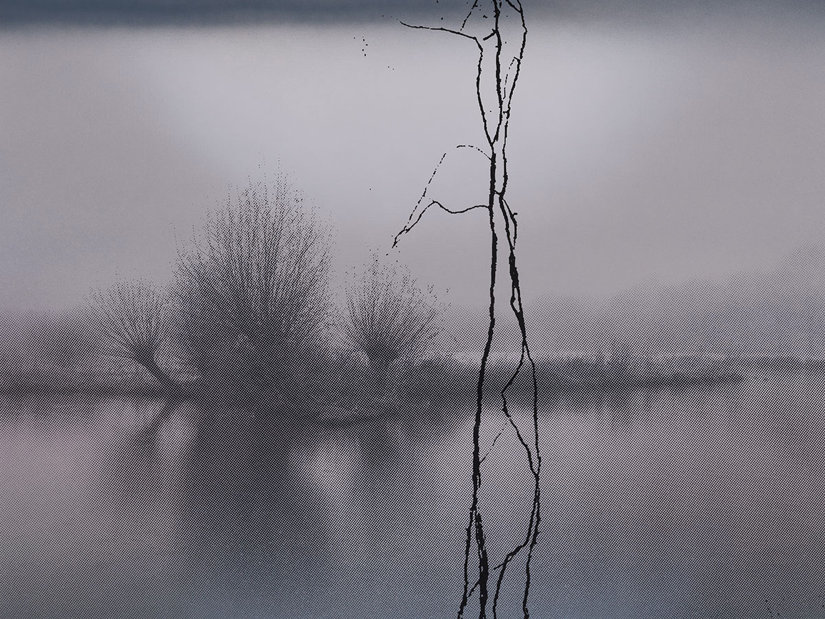 Birgit Jensen - Just another WordPress site