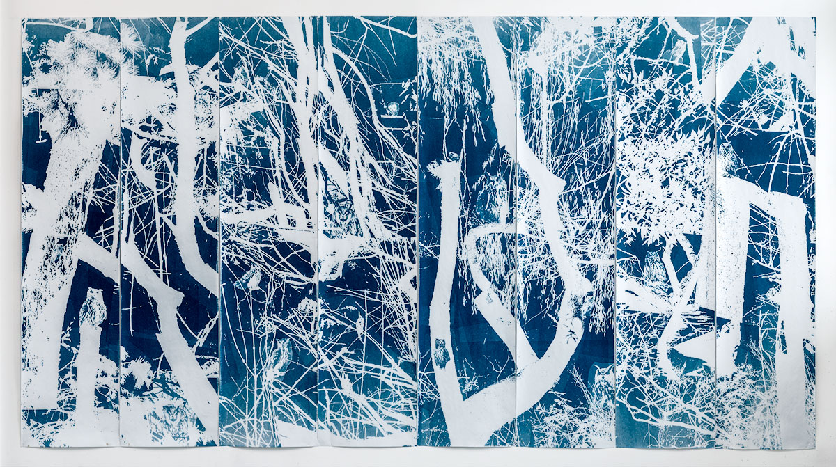 Loitz-CeDeEff-2024 - Birgit Jensen